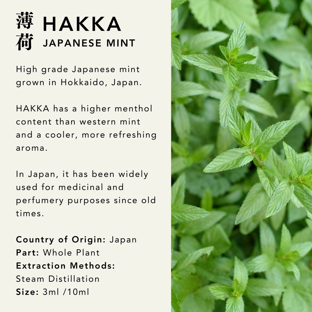 Hakka Japanese Mint Essential Oil – SEIKATSU no KI